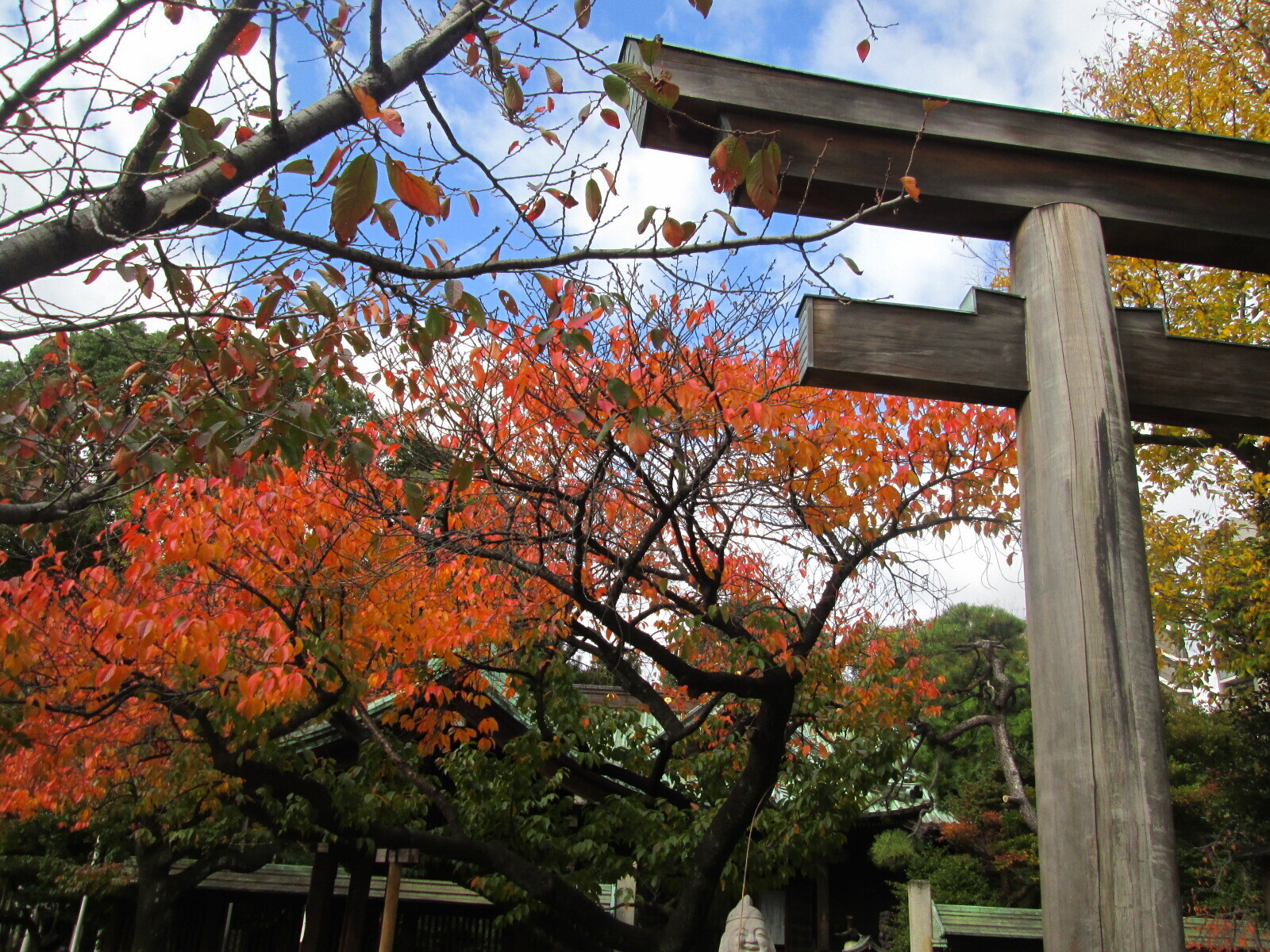 ヨアナ･マルヴィッツ/首席指揮者就任記念コンサート: Zauberfloete通信