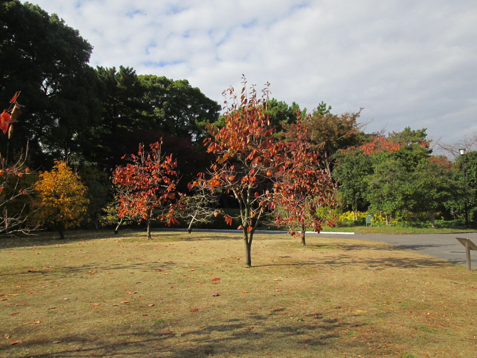 皇居東御苑: Zauberfloete通信